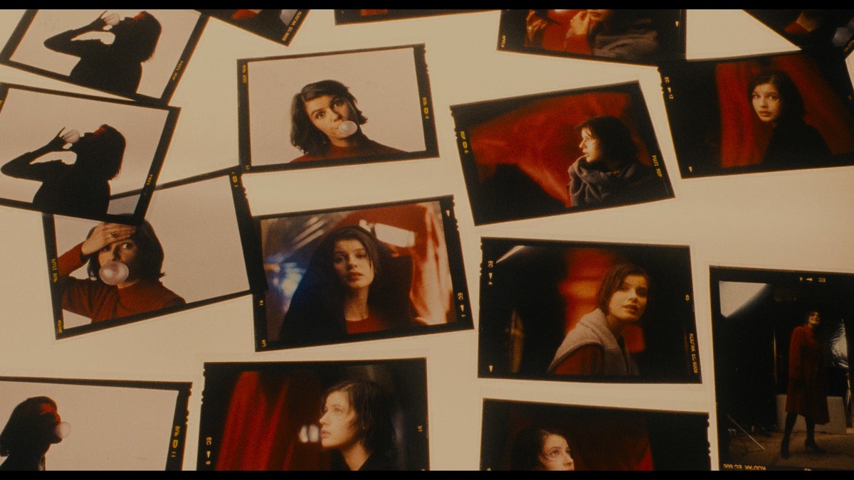 Three Colors: Red 4K UHD + Blu-ray Review :: Criterion Forum