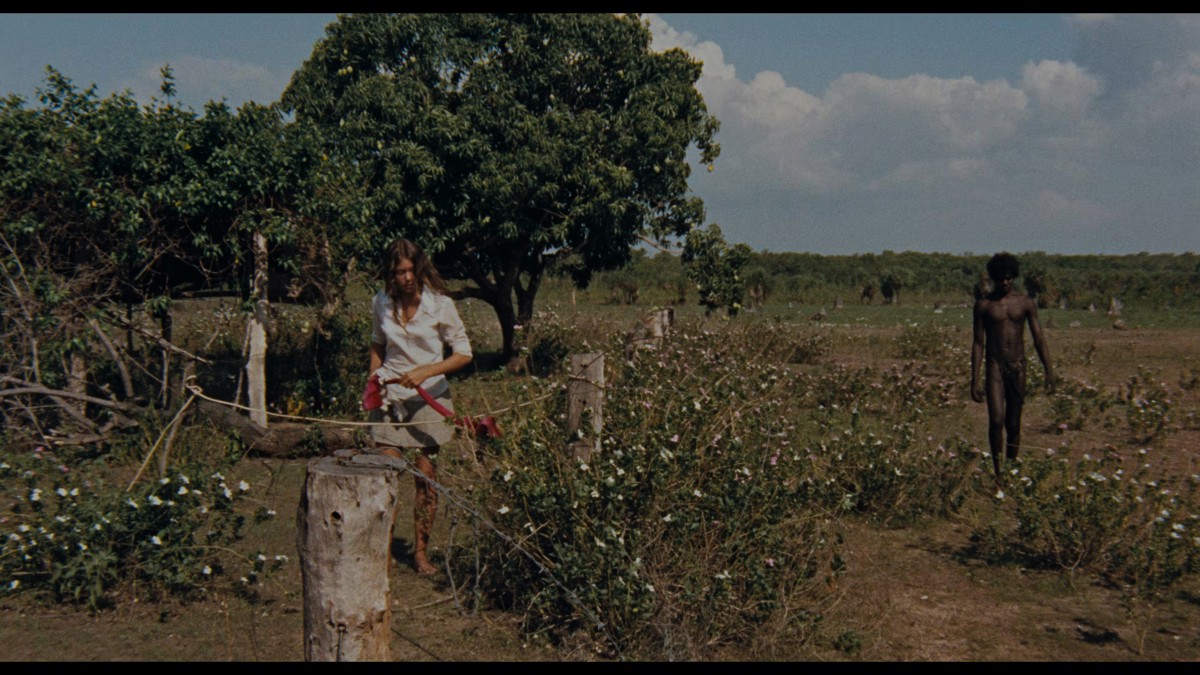 Walkabout 4K UHD + Blu-ray Review :: Criterion Forum