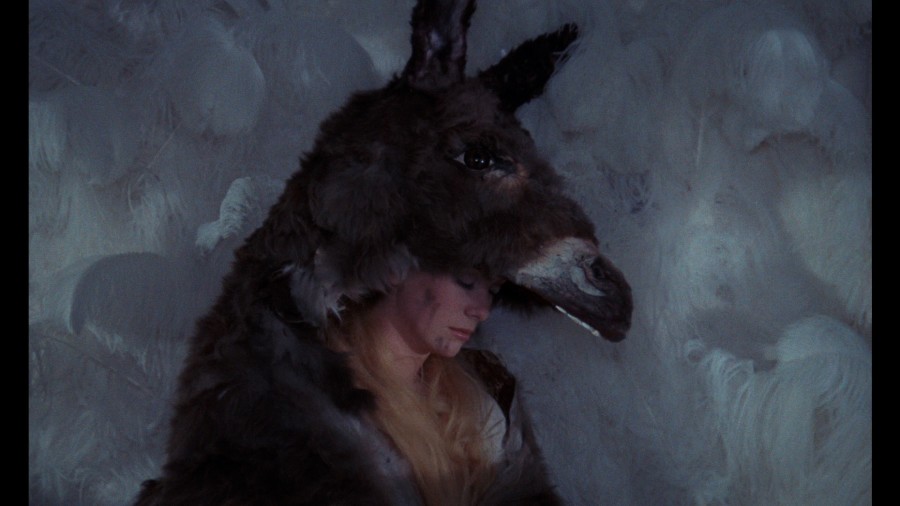 Donkey Skin Dual-Format Edition Review :: Criterion Forum