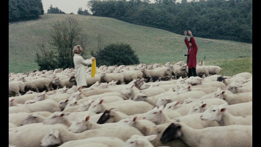 Weekend Blu-ray Review :: Criterion Forum