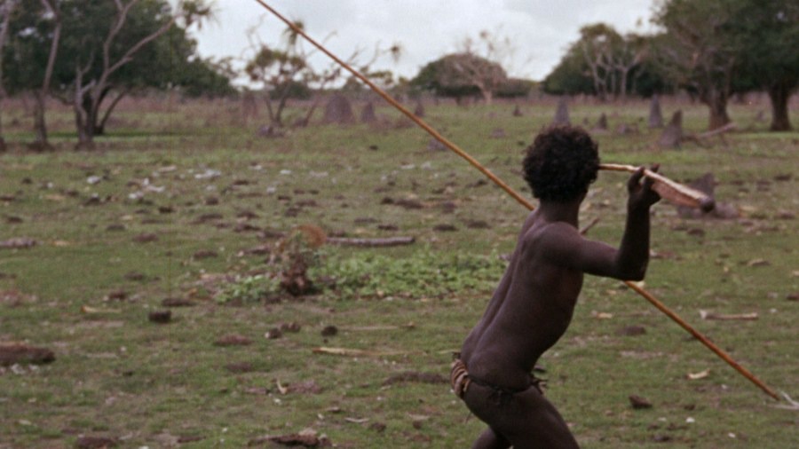Walkabout Blu-ray Review :: Criterion Forum