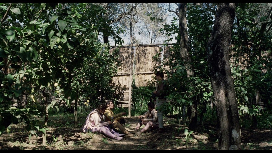 The Decameron Review :: Criterion Forum