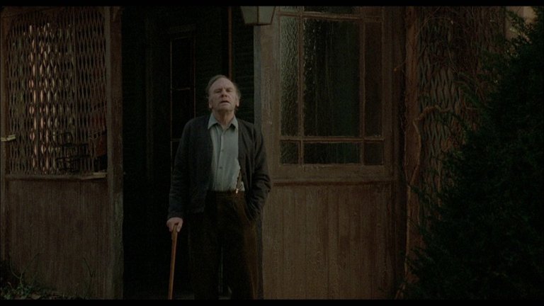 Three Colors: Red Review :: Criterion Forum